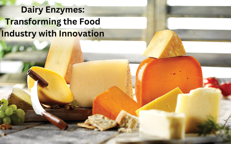 Dairy Enzymes: Transforming the Food Industry with Innovation