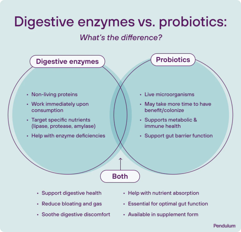 India’s Nutraceutical Growth Story: Why Quality Over Price Matters - Enzyme